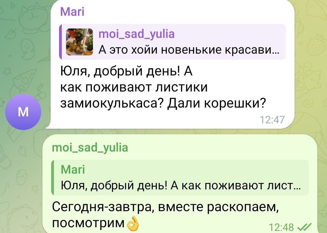 Telegram-канал "moi_sad_yulia" — @moi_sad_yulia — TGStat